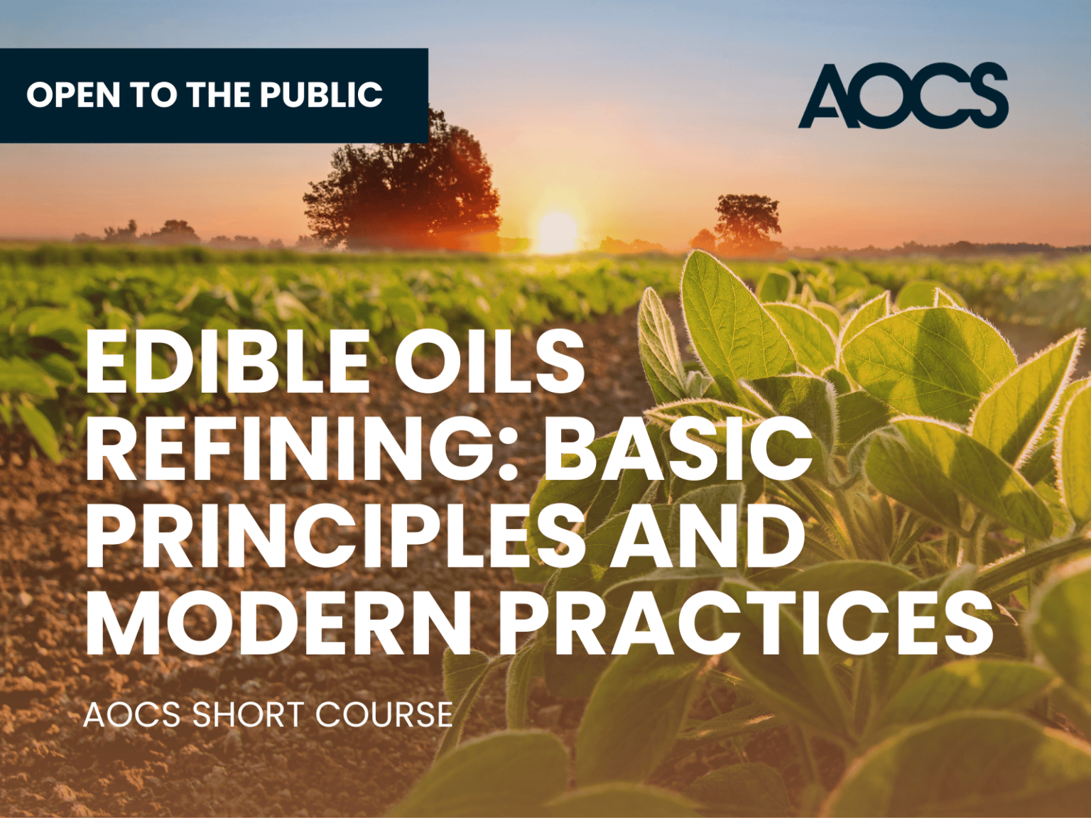 Edible Oils Refining: Basic Principles & Modern Practices